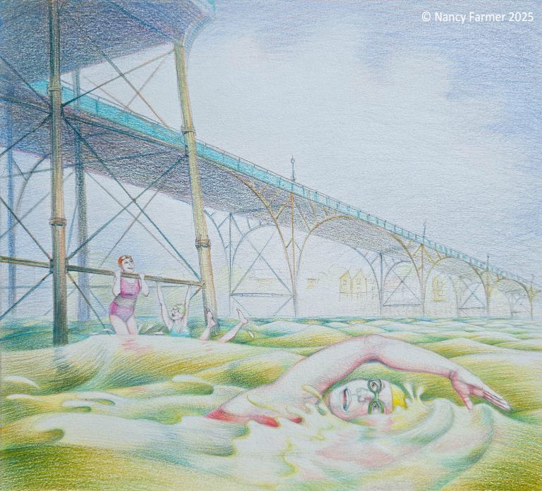 WaterDrawn – Art & Design by Nancy Farmer, all of a watery nature